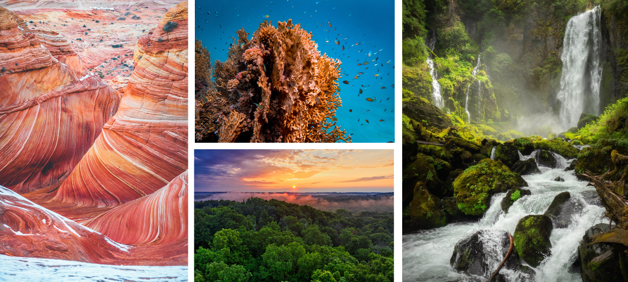 Virtual Nature Visits - Stuart Low Trust